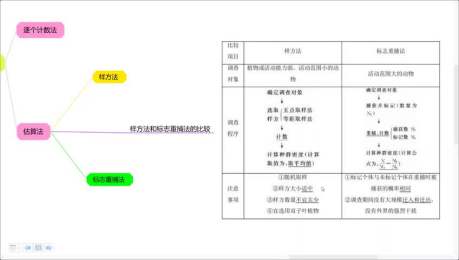 思维导图复习种群的特征和数量变化