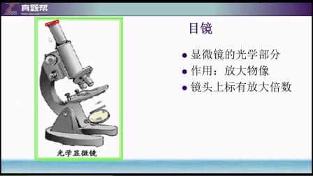 第二单元第一章第1节 练习使用显微镜