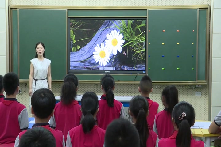...师大版小学数学六年级上册_欣赏与设计-徐老师优质课公开课教学视频