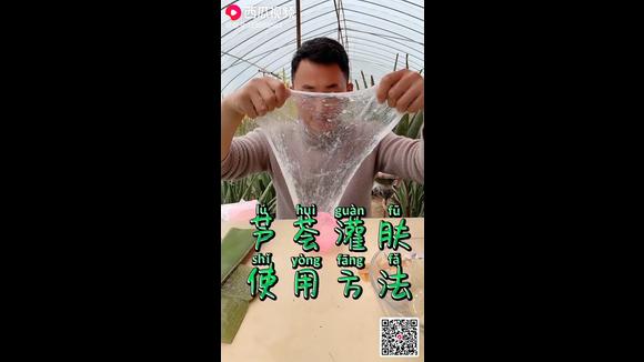 芦荟灌肤使用方法