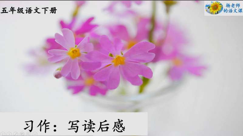 统编版语文五年级下册第二单元作文:写读后感