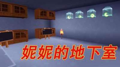 迷你世界:妮妮做个了地下室,可是要怎么分类呢,这是个大问题