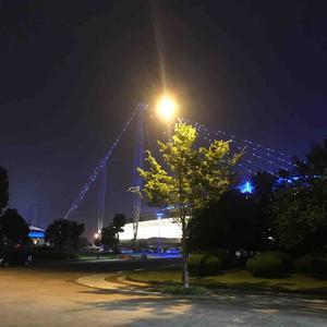 萍萍专业采耳师 