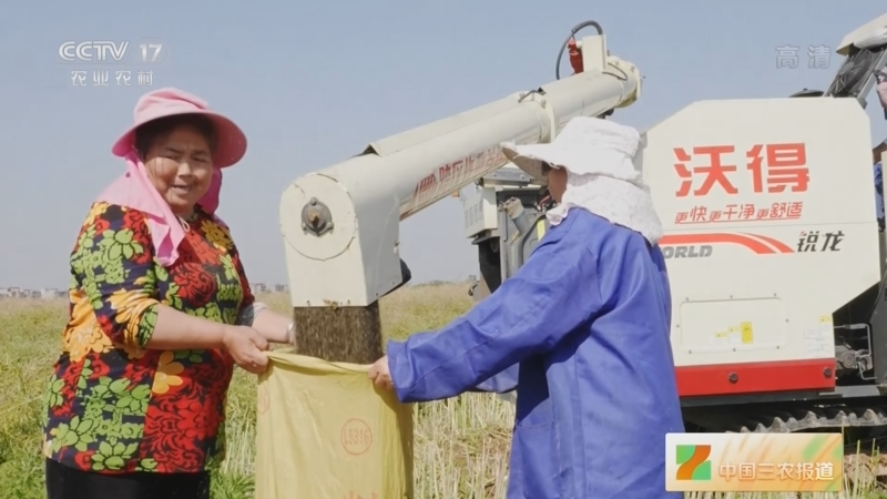[中国三农报道]江西上饶:人力农机齐上阵 抢收油菜