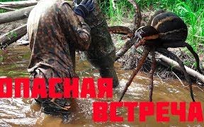 【尤里·加加林】寻找河流中的二战遗迹