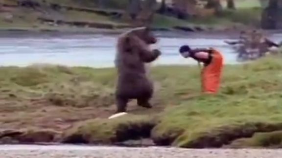 旁边的熊看懵了,熊:哥你还真敢和俄罗斯人打架啊