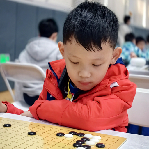 胖丁学围棋 