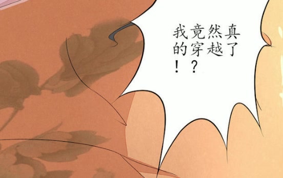 漫画:王妃的婚后指南