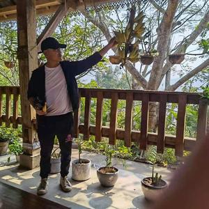 乘风破浪查无此人 