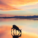 生活简单迷人幸福 