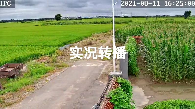 实况转播.