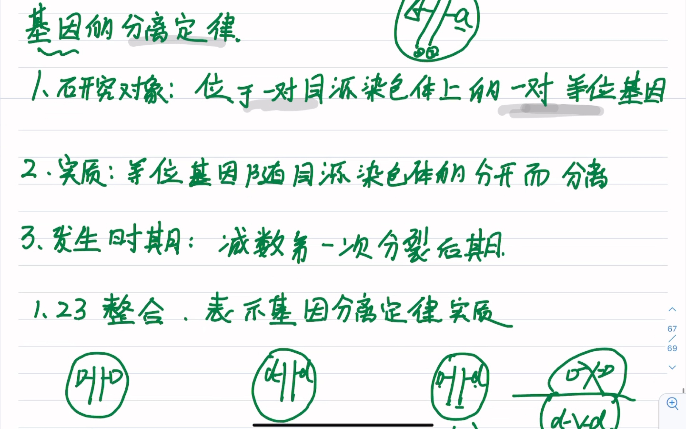 高中生物必修二 基因分离定律