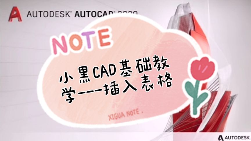 小黑CAD基础教学---插入表格