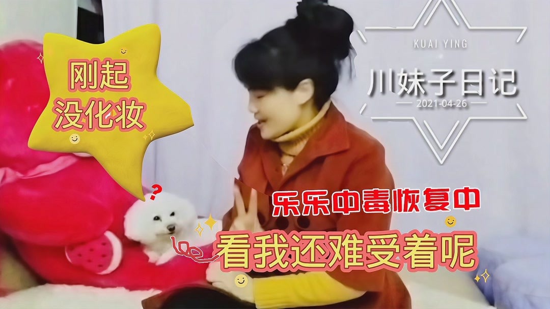 比熊狗吃水果中毒后恢复第1天,宠物医生告知:食物禁忌有这么多