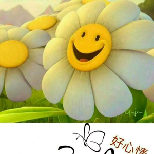 31号上班 