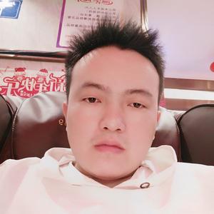 雄狮联盟 