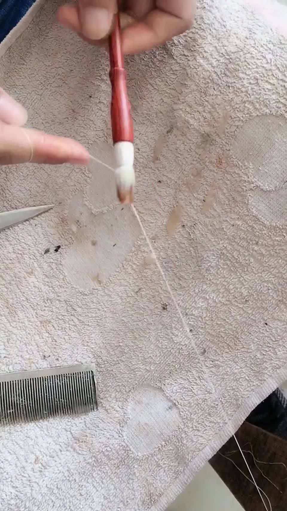 很多朋友都有疑惑,毛笔既然要泡开,为什么还要费劲胶起来?你知道...