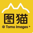 图猫tomo 