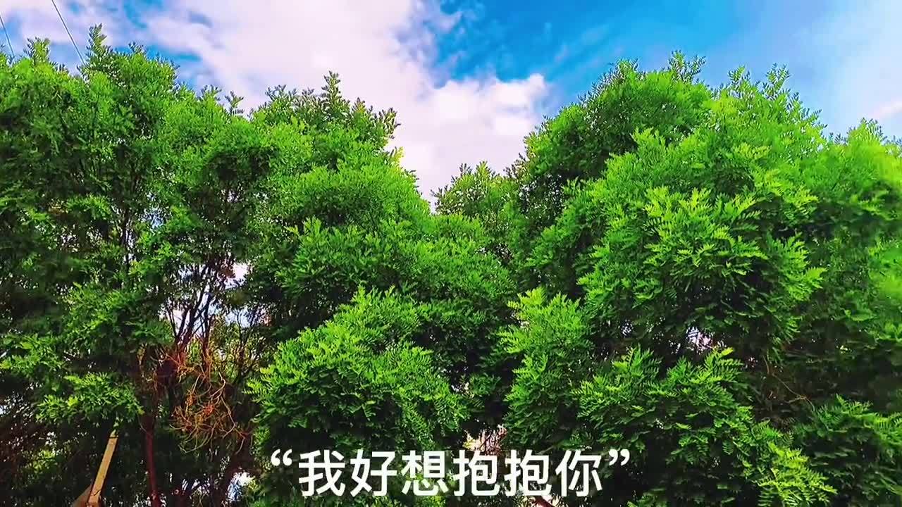你知道吗,有你的梦都很美,终有一日,梦见过的,都要实现!