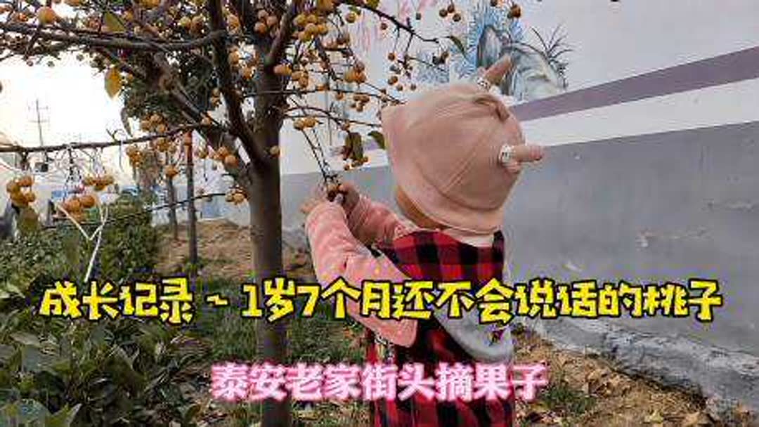 一岁七个月的桃子小姐在泰安老家街头摘果子,还是老家的感觉好啊