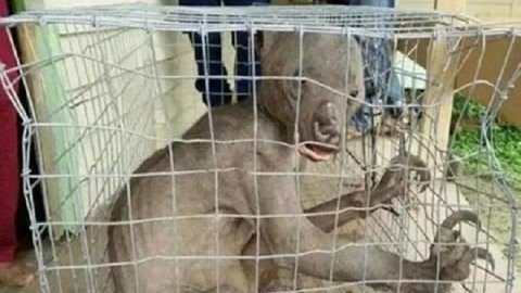 “水鬼”是真实存在的吗?听完科学家的解释,真的有点不敢相信