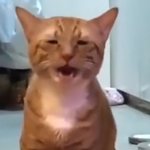 精卫三诊摆烂大王 