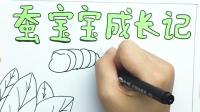 蚕宝宝成长记手抄报, 还记得你养过的蚕宝宝吗?