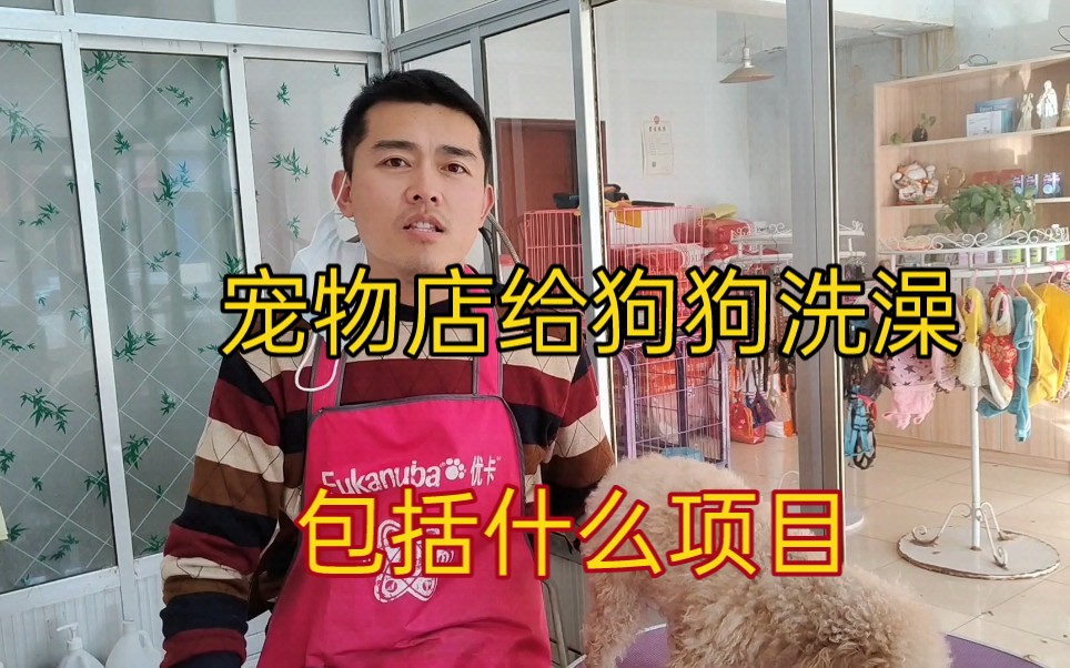 宠物店给狗狗洗澡包括哪些项目