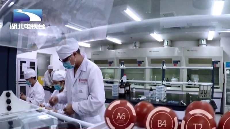 湖北全省药监干部集中培训,省局敲定14个派出机构人员