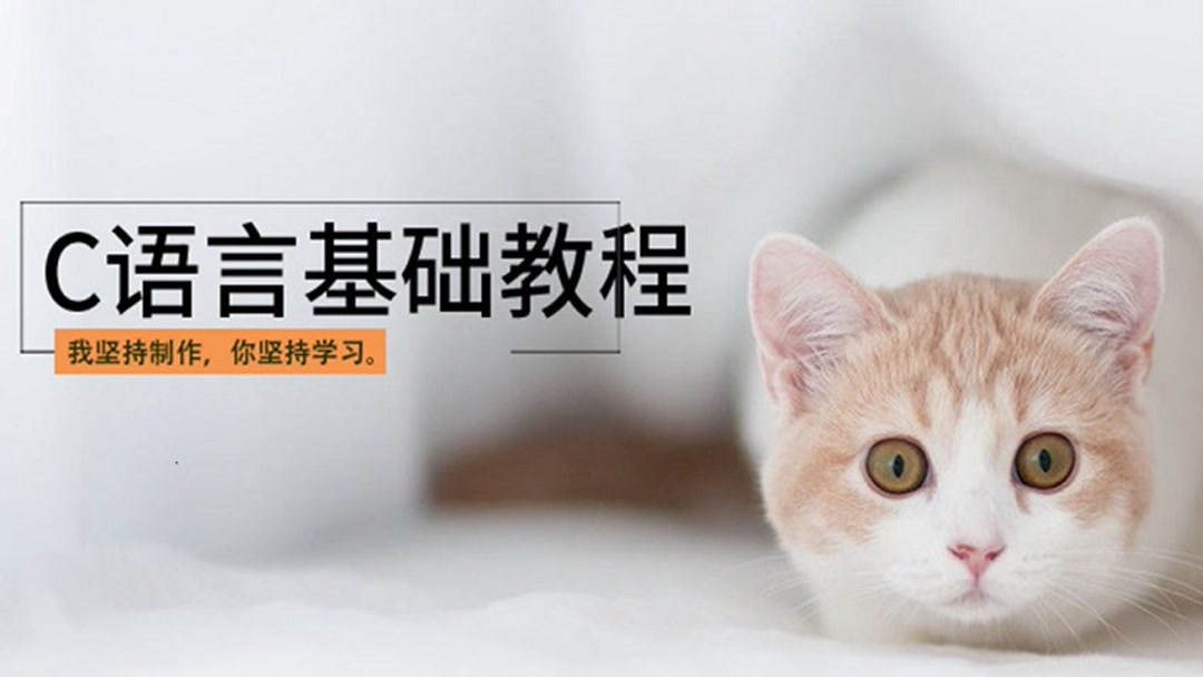 第九节、数据类型简介