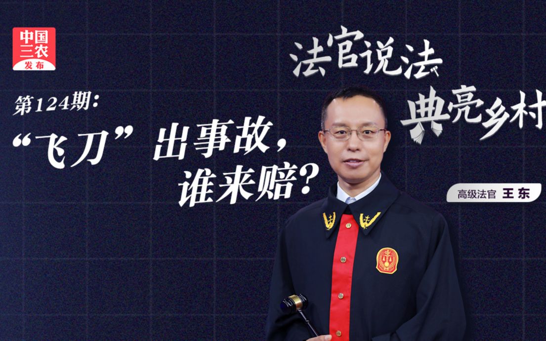 法官说法丨“飞刀”出事故,谁来赔?