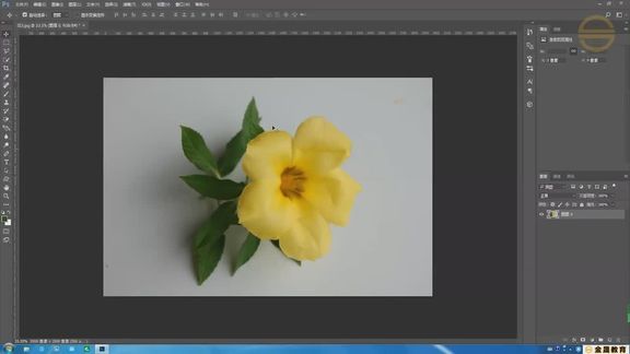 ps高手之基础:移动工具的基本操作,你懂了吗?