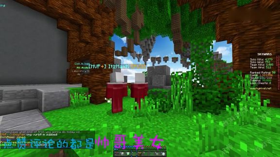 我的世界:天空之战 制作一个模拟床的隐身皮肤?