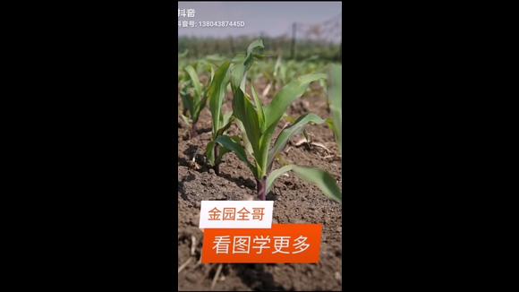 了解更多种子构造机理