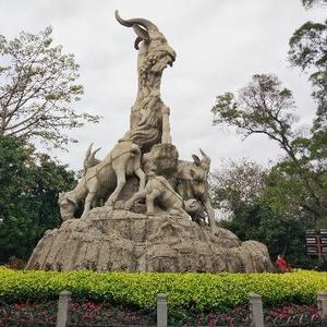 广东小龙 