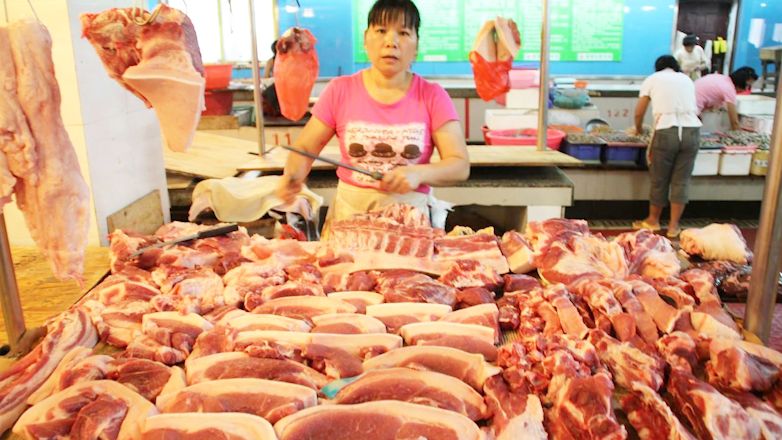 11月19今日猪价 持续大跌猪价跌破18元斤,恢复上涨艰难