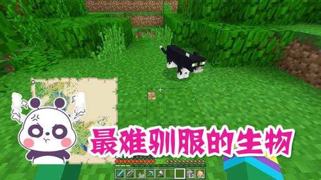 我的世界海洋版38:MC最难驯服的动物非他莫属!驯服后也不跟你走