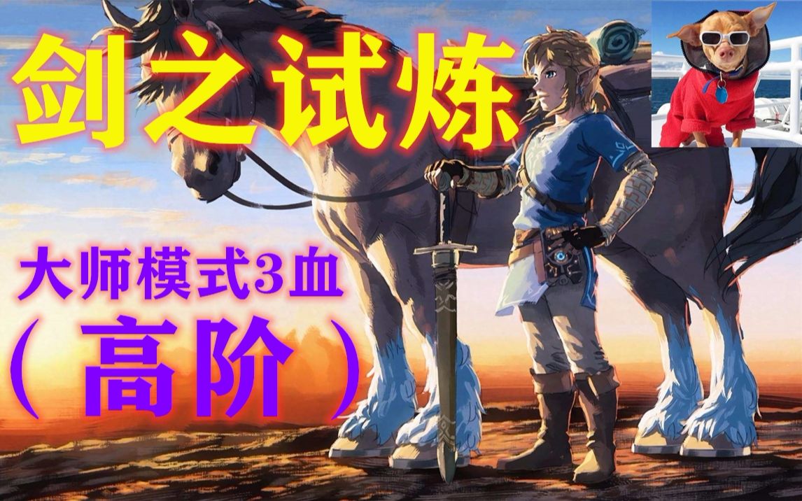 【红狗同学】塞尔达传说 - 旷野之息全网最强大师模式3血〈剑之试炼...
