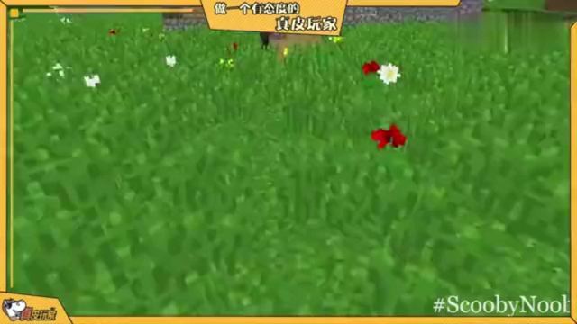 我的世界动画短片:只有NOOB才能使用面部扫描器打开此钻石门!