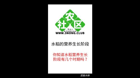 水稻生长进程002