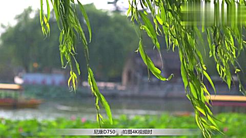 尼康D7500视频教程——视频拍摄解决方案|尼康D7500说明书第1集
