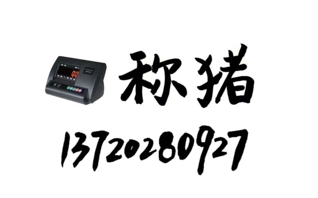 耀华a12仪表标定说明书(第四讲)