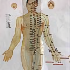 永不放弃的走卒 