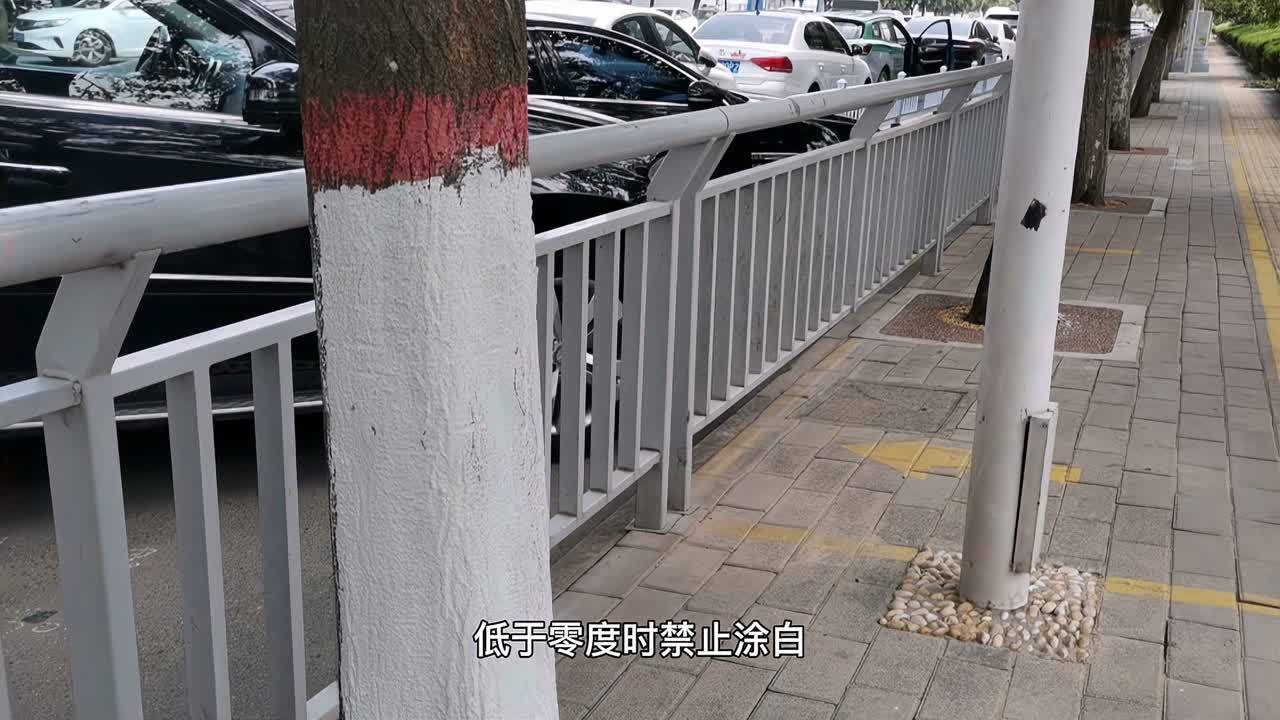 秋季园林植物养护技术要点