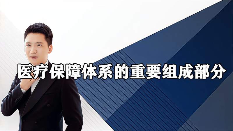 医疗保障体系的重要组成部分