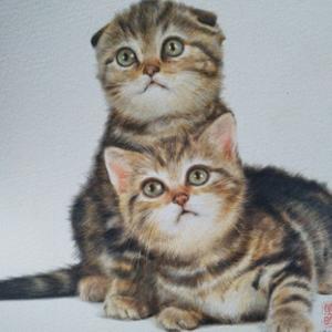 学舟播音知识课堂 