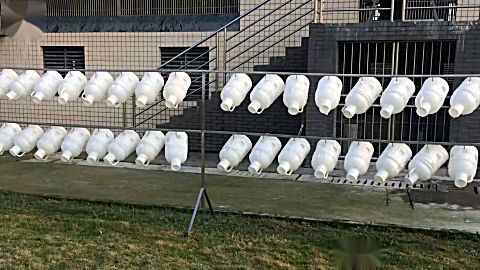 重庆宏艺翔使用农业附属设施用地申请及批复文件视频