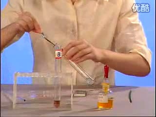 高中生物实验(4)[比较过氧化氢酶和三价铁离子的催化效率]