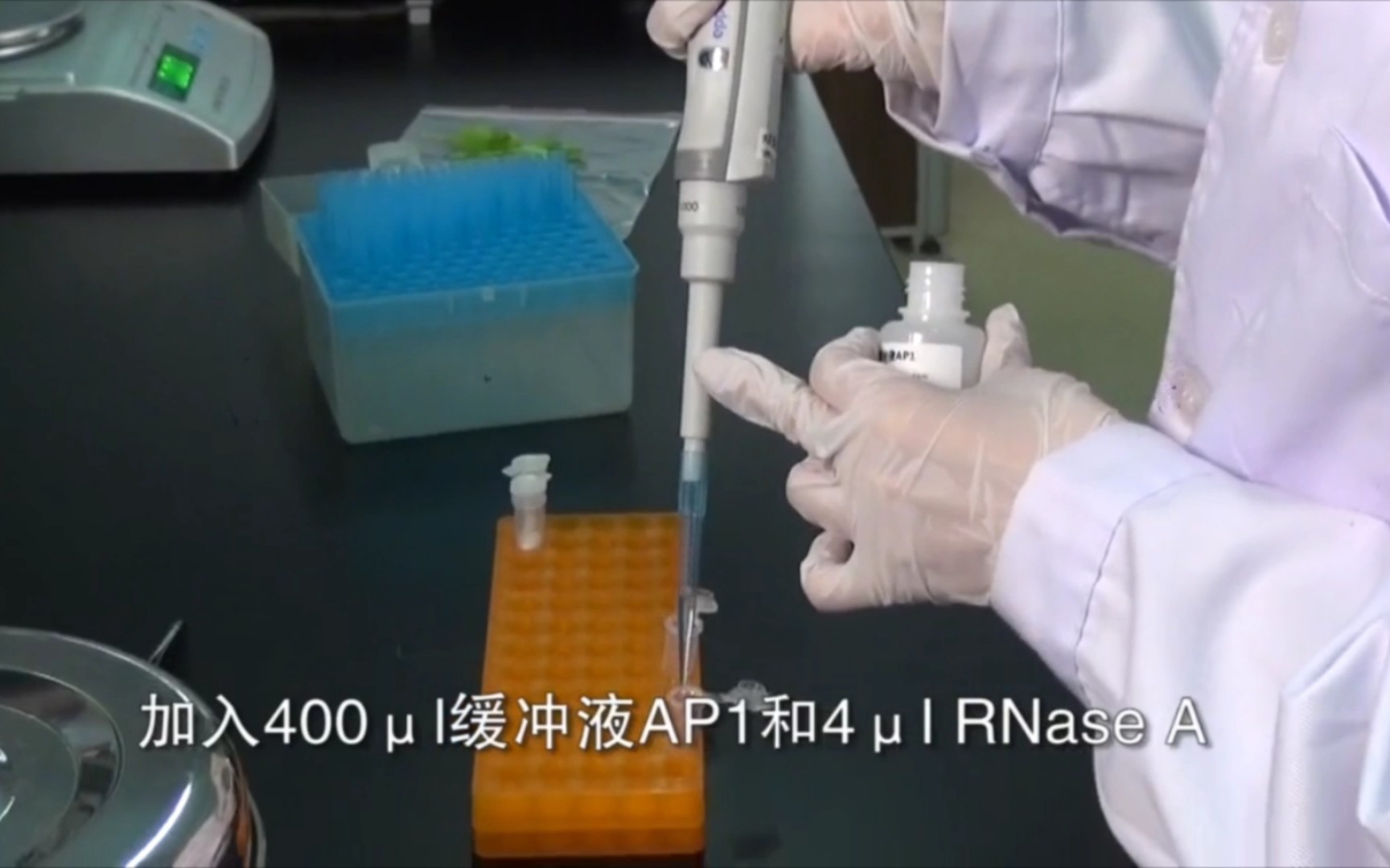 快速提取植物基因组织DNA实验(植物基因研究)