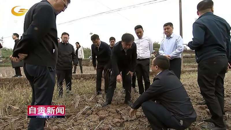 省委常委、组织部部长、省委农村工作领导小组副组长于立军在自贡...